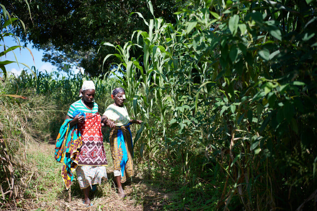 Uncorrected Refractive Error: A Mounting Challenge - Light for the ...