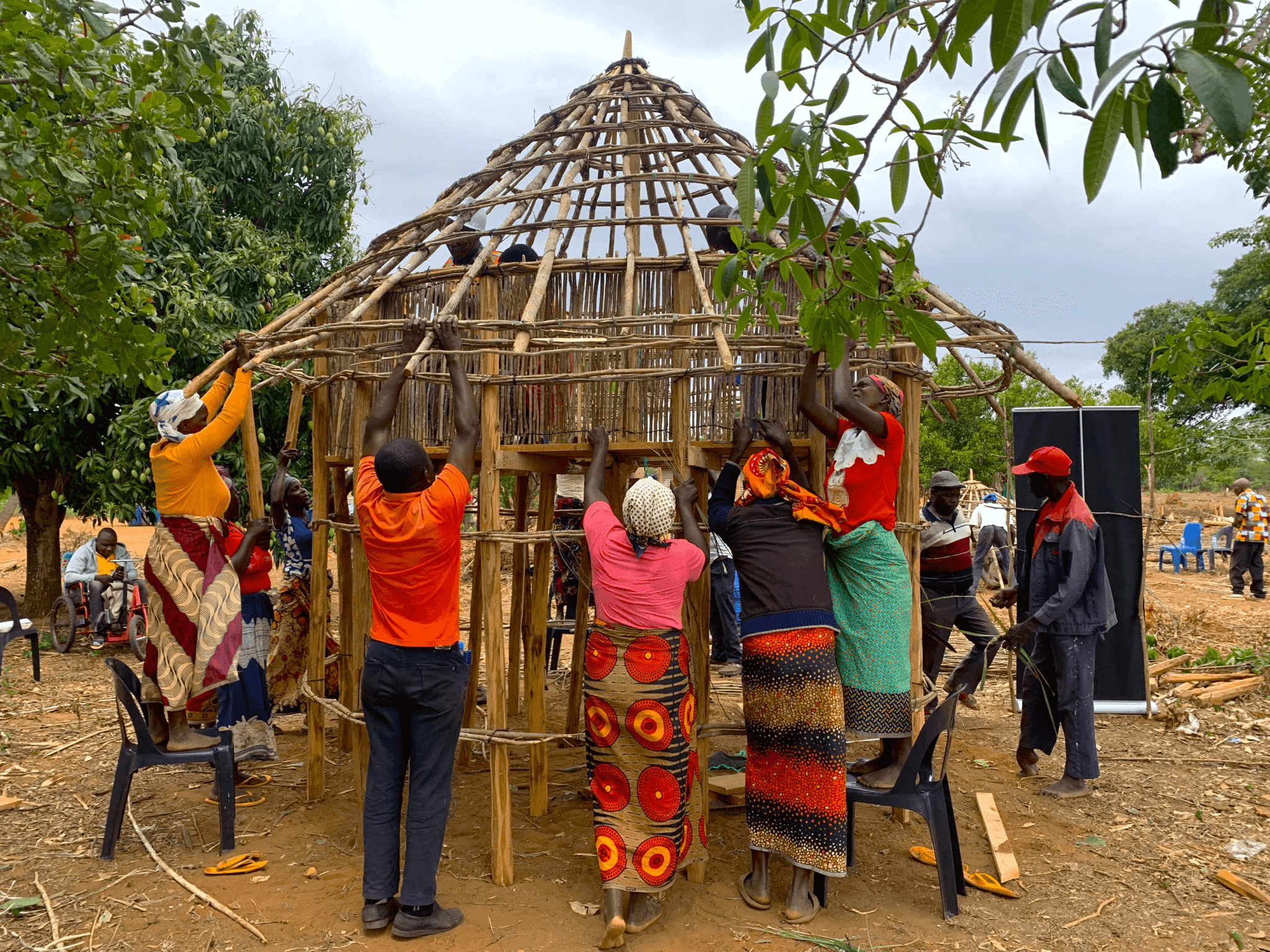 Climate action: eight ways to include people with disabilities - Light ...